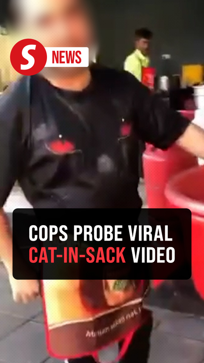 Perak cops probing viral incident of man putting cat in sack