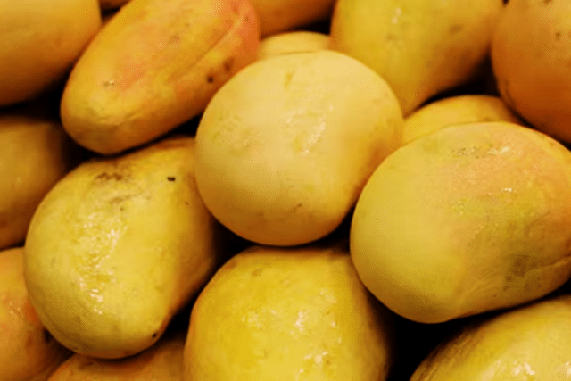 Rotten mangoes: Beware! Rotten and worm-infested mango juice is being ...