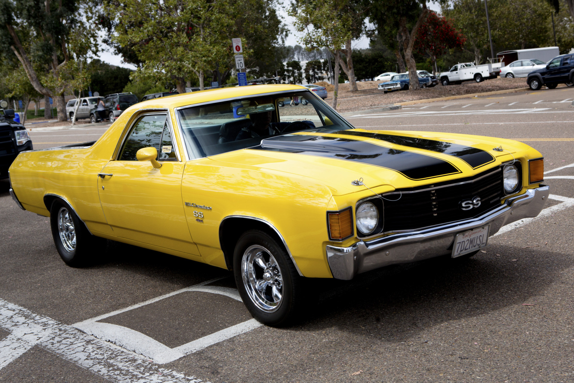 The most popular cars in music