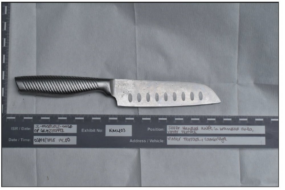 Builder who stabbed student in neck and claimed self-defence jailed for ...