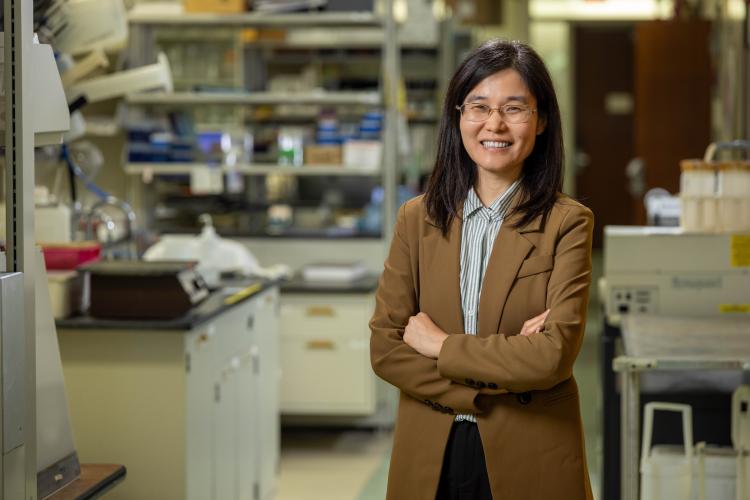 Ohio University study tests metformin to prevent C diff infections