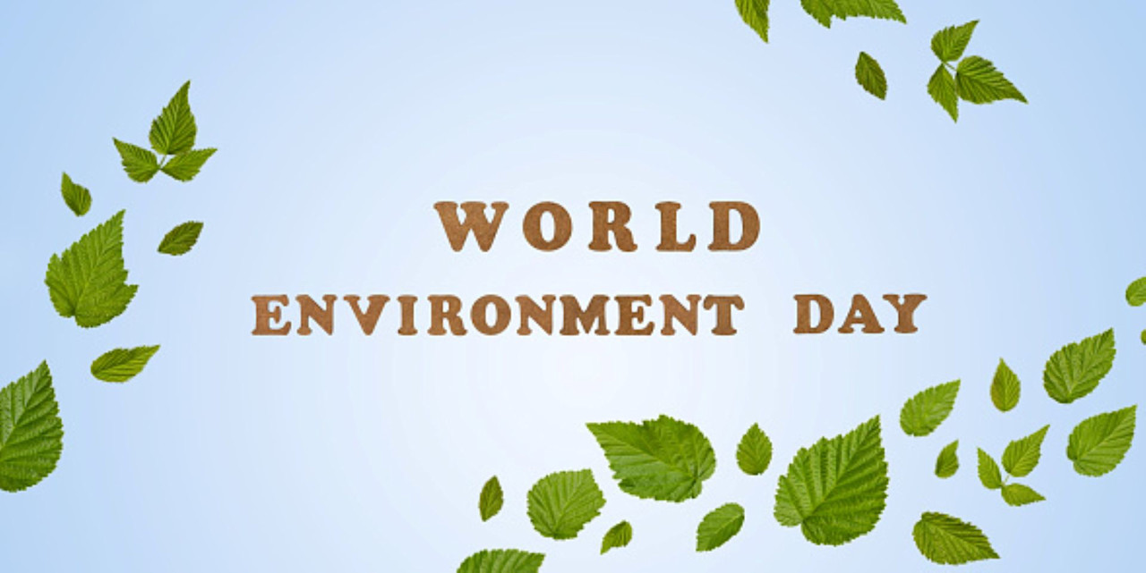 World Environment Day theme points to nature as key to planet's future