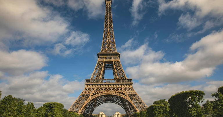 Trump compares the White House UFC arena to the Eiffel Tower "Maybe we ...