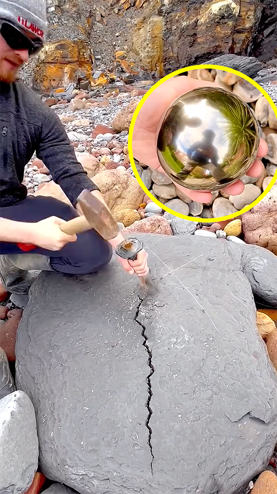 How to find fossils