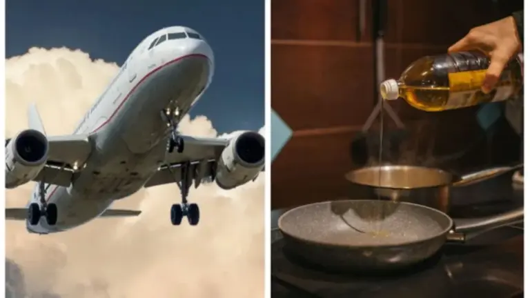 From fry to fly: How Japan is turning used cooking oil into sustainable ...