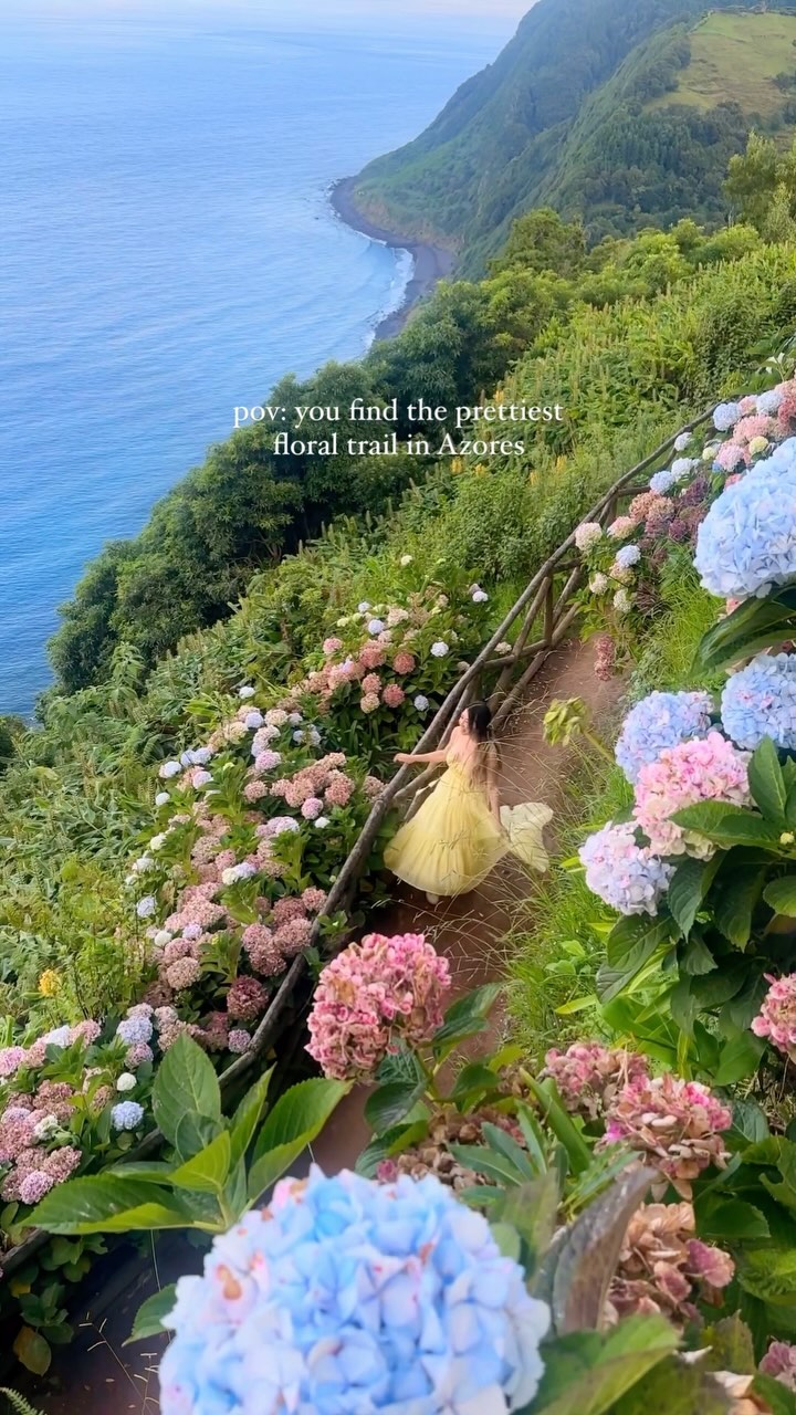 This hydrangea trail feels like a dream