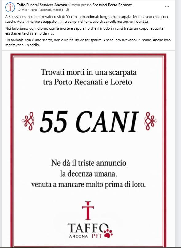 Orrore a Porto Recanati: trovate le carcasse di 55 cani e un gatto. C'è ...