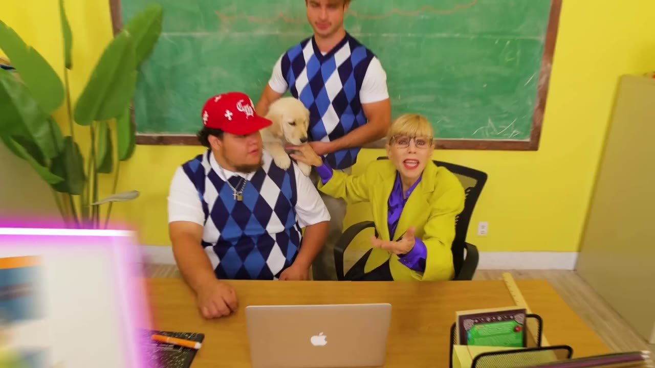 Rescue mission: Lost puppies at school