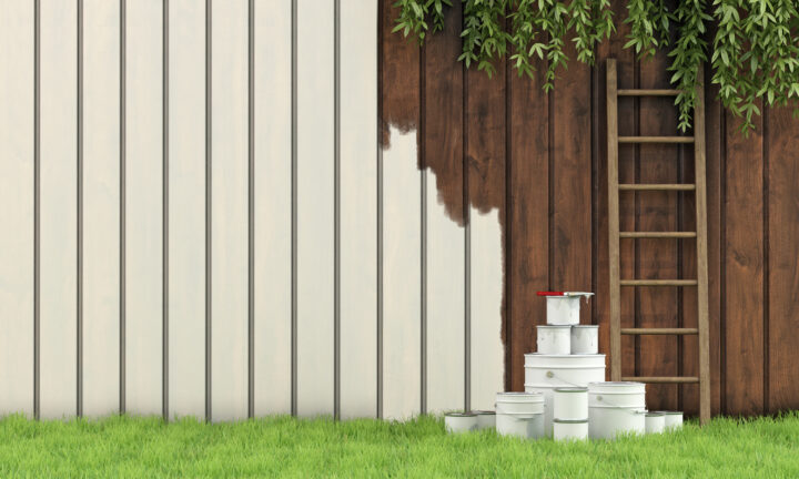 The fence painting rules every UK homeowner should know