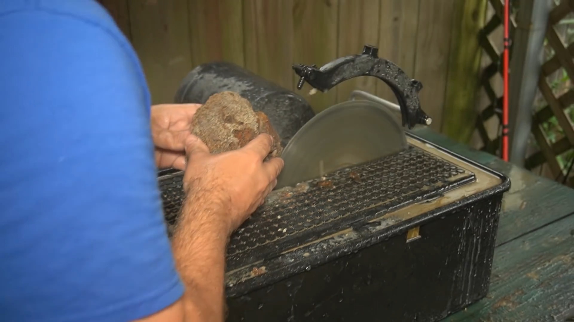 They cut open a 20-million-year-old coral rock - and the inside looked ...