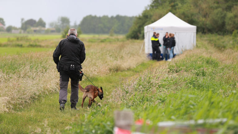 Dode vrouw gevonden in weiland, politie weet niet wie het is