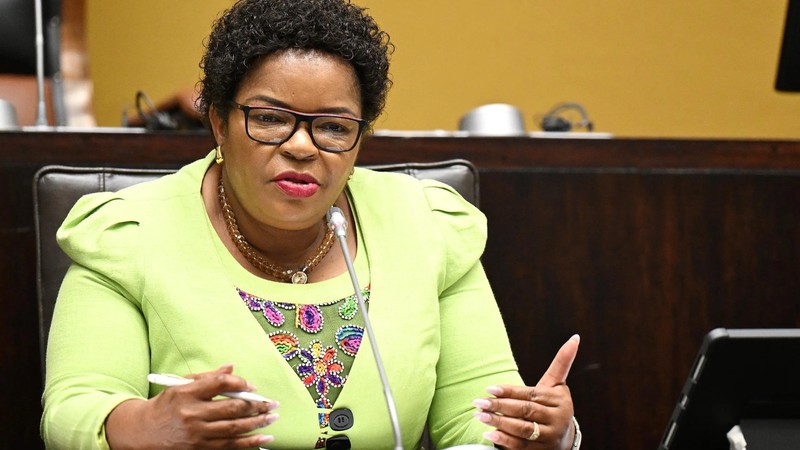 New presidential impeachment rules adopted by sub-committee