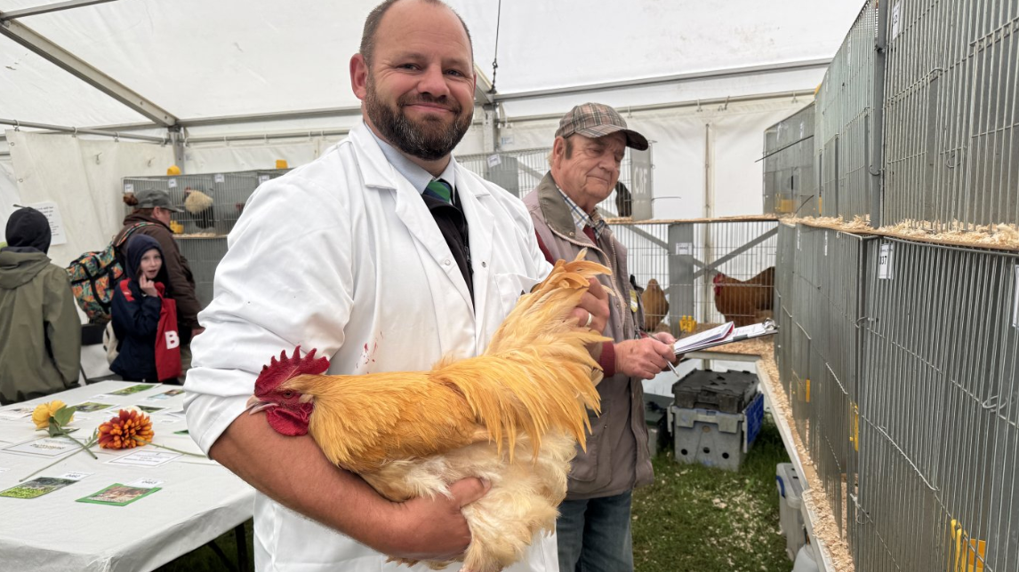 Poultry return to show after bird flu disruption