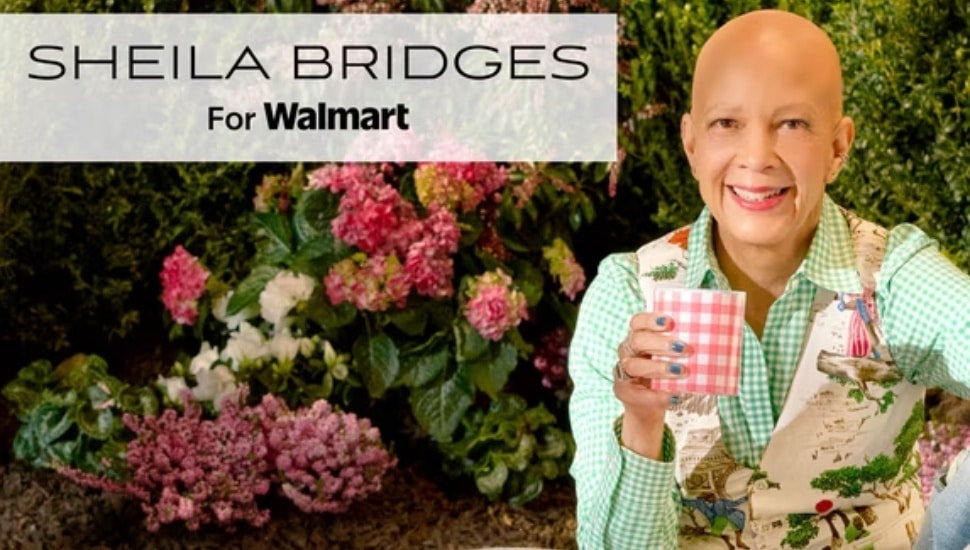 West Philly native Sheila Bridges debuts affordable Philadelphia-themed ...