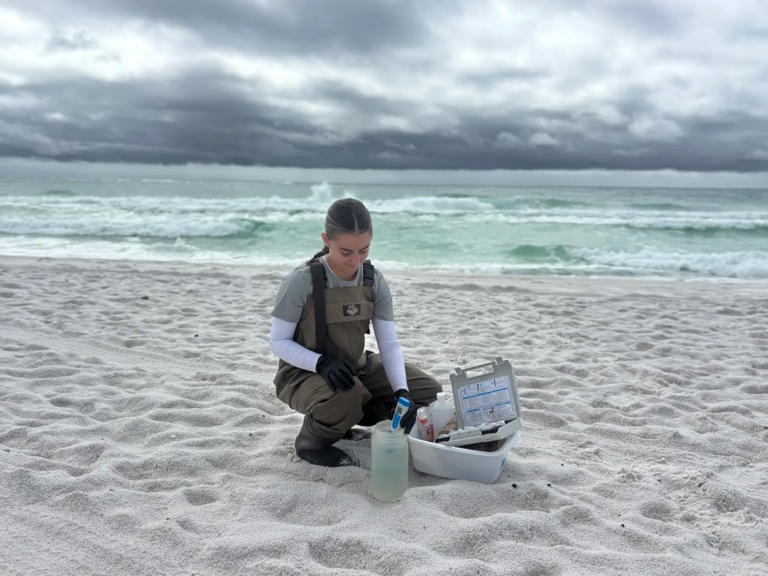 A deadly bacteria is creeping up the Atlantic Coast. How worried should ...