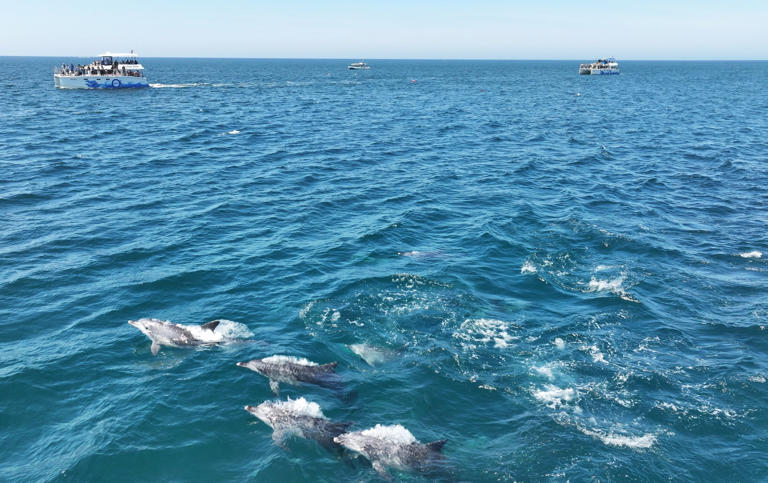 Asia’s marine pledges face credibility test at global ocean conference