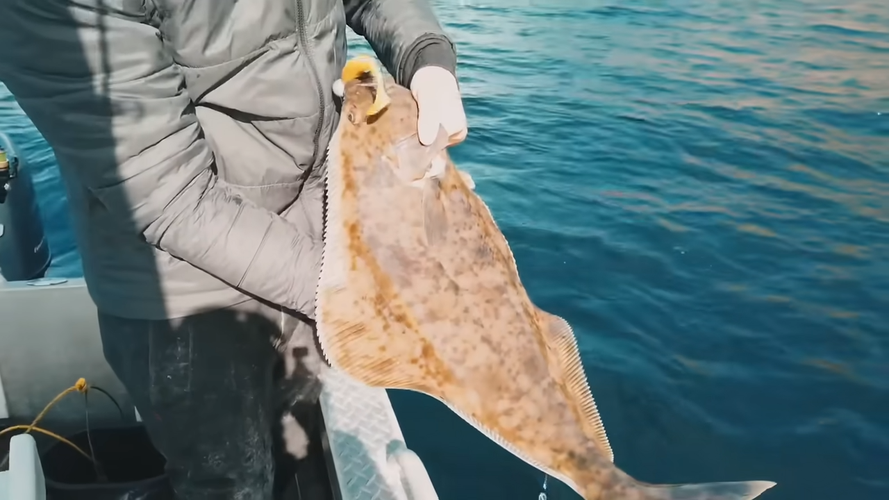 Tiefsee‑Giganten am Haken: Mit Pose & Köderfisch
