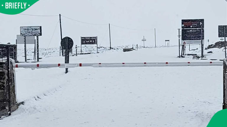 Heavy snowfall hits Drakensberg region, Sani Pass closed as KZN ...