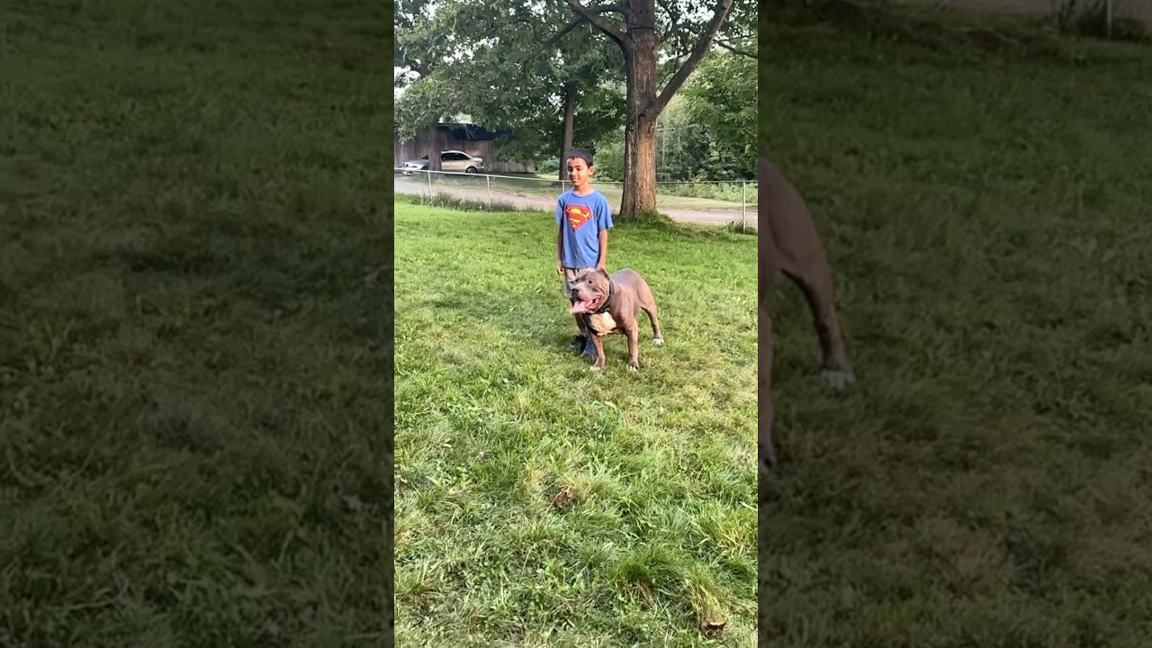 My child was bitten by the family dog