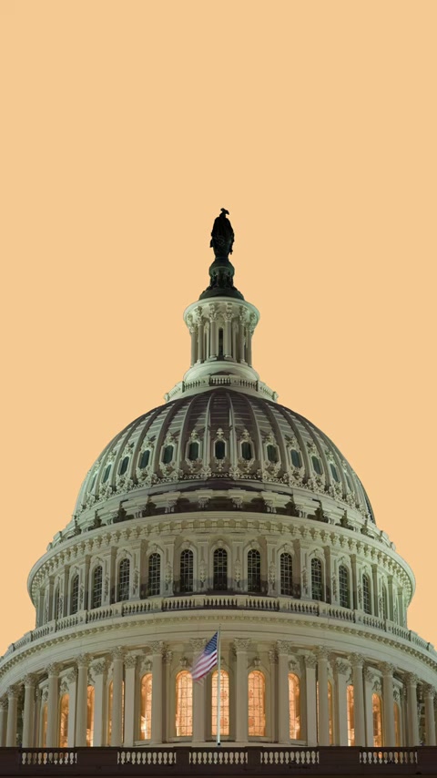 How many have been kicked out of Congress?