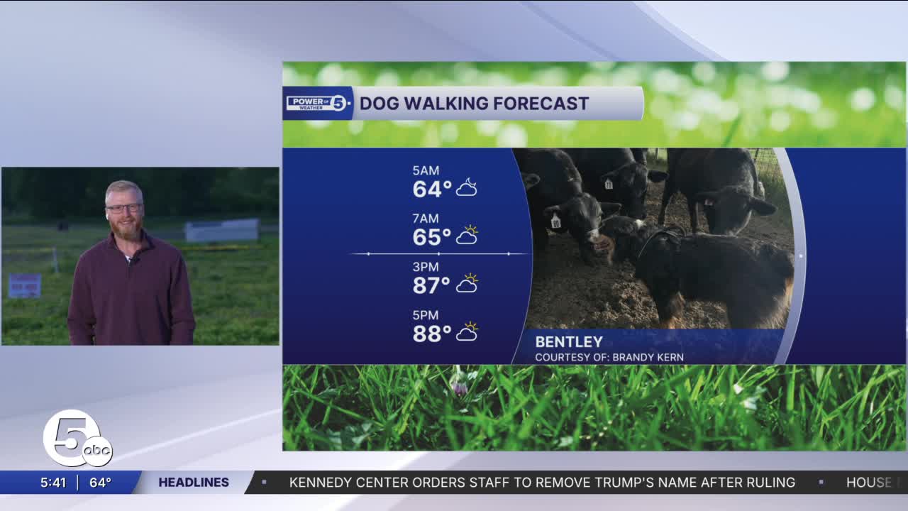 Holy cow, it's going to be hot for dog walks on Friday
