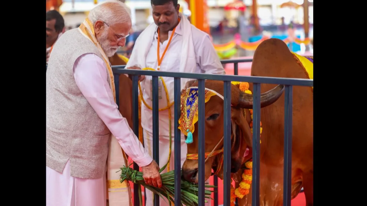 Punjab Muslim body urges PM Modi to declare cow as national animal