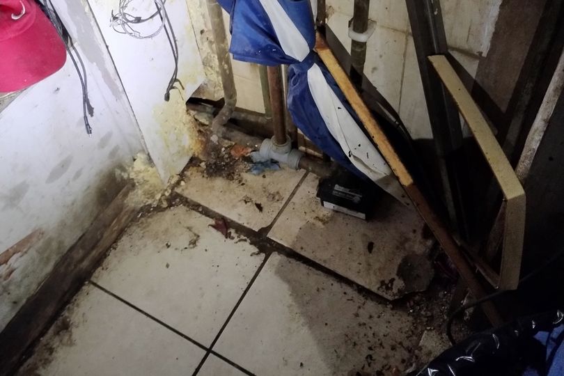 Inside rat-infested West London takeaway in such a state council ...