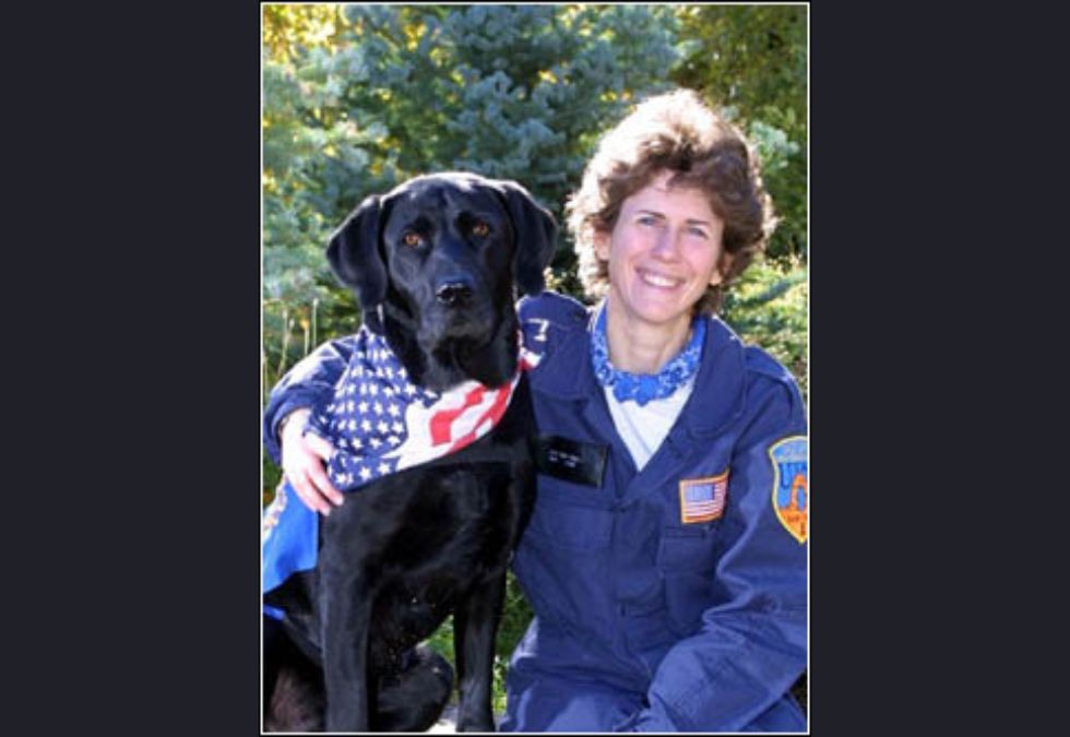 8 oldest Labrador retrievers to ever live