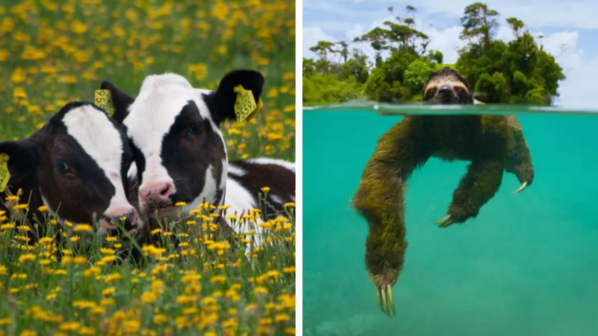 20 fun facts that sound totally made up (but aren’t)