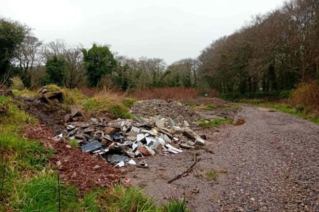 Increase in rats and flytipping raised by concerned councillors