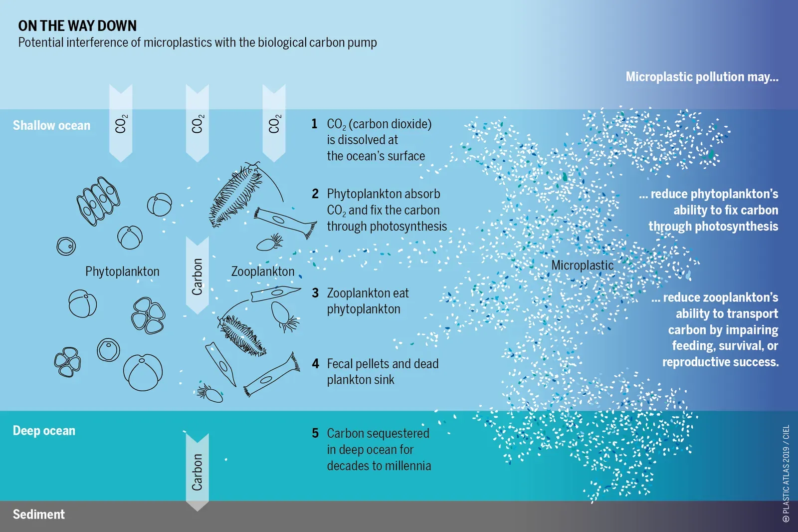 The hidden environmental costs that continue long after pollution slows