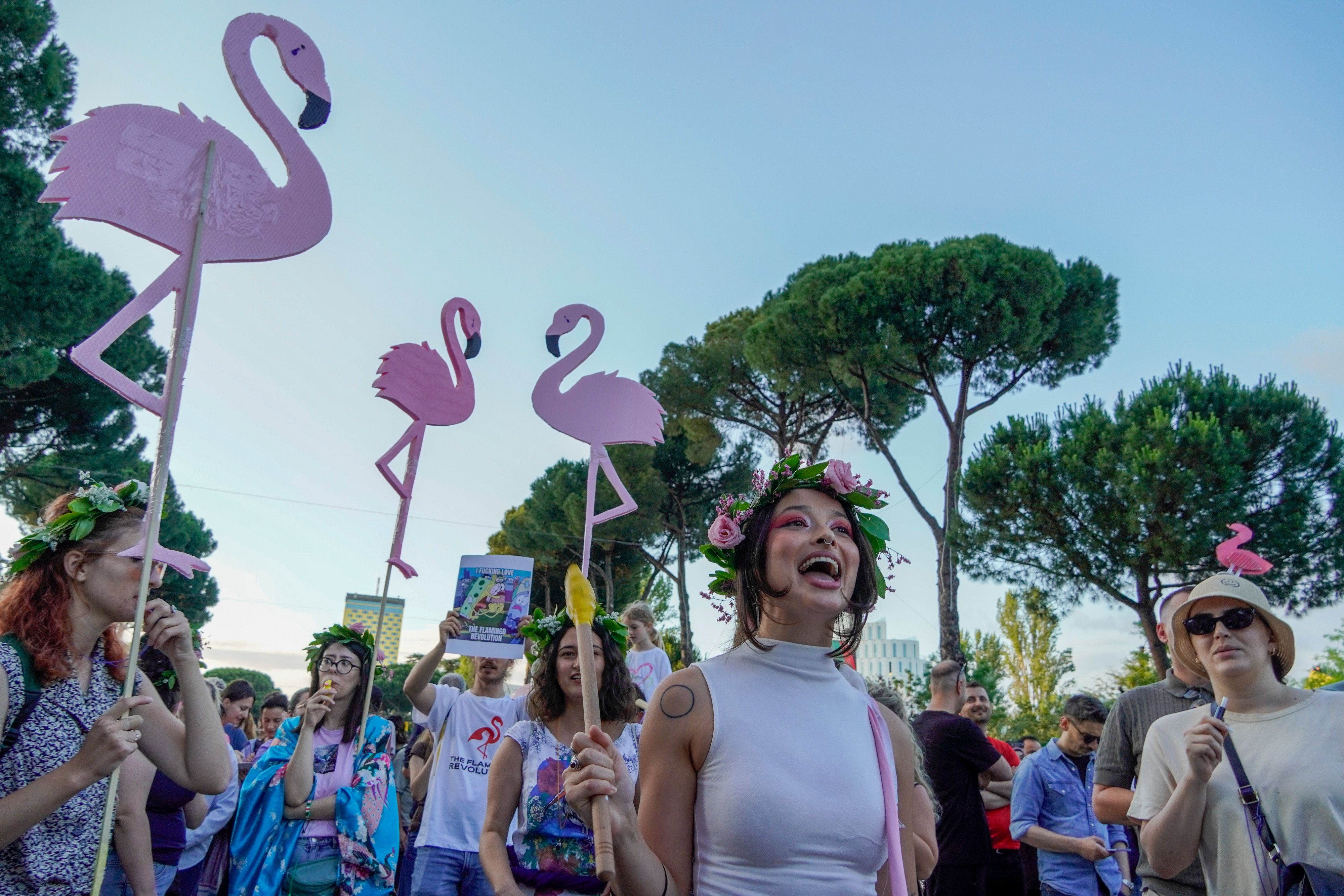 Ivanka Trump contre les flamants roses : en Albanie, des manifestations ...