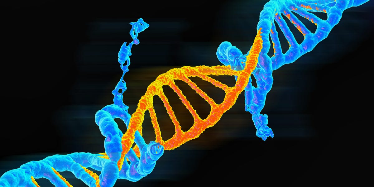 Scientists thought they understood evolution. They were wrong.