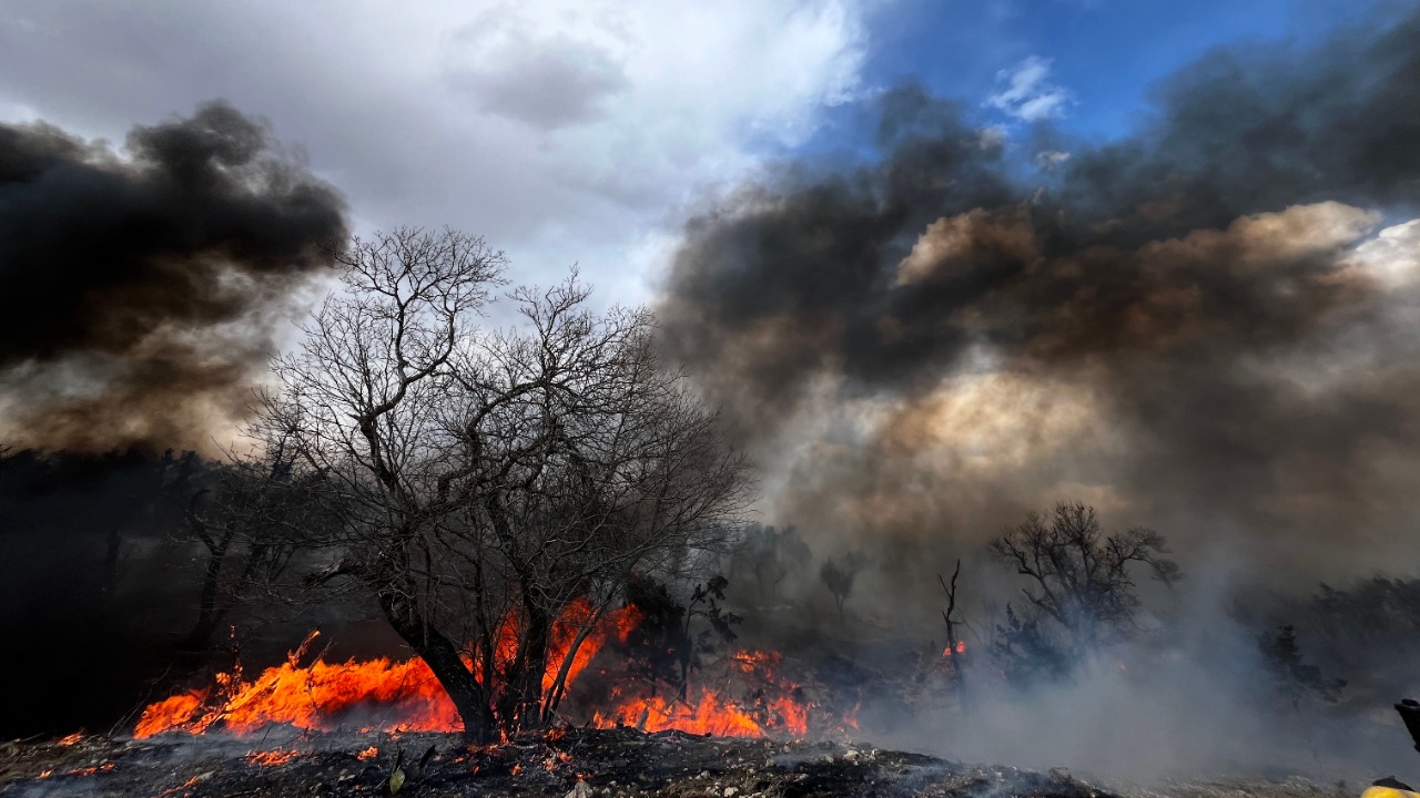 New Mexico’s plane-crash-ignited Seven Cabins Fire has grown to 29,000 ...