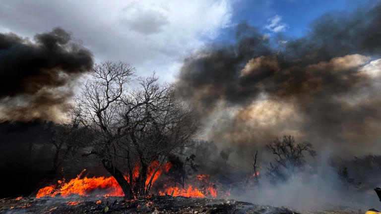 New Mexico’s plane-crash-ignited Seven Cabins Fire has grown to 29,000 ...