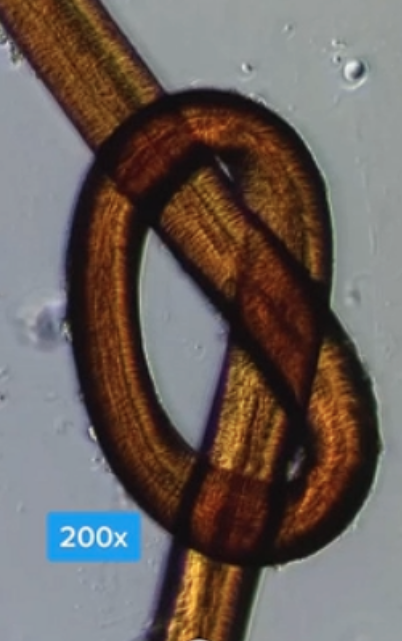 Human hair under extreme magnification