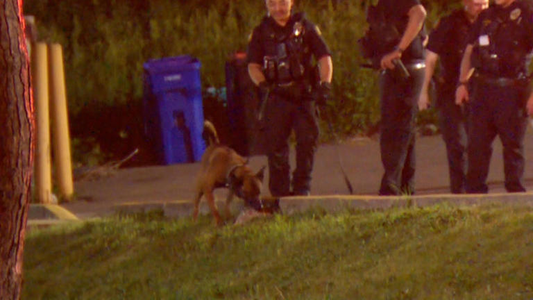 Man shot in the wrist on St. Paul's east side, police say