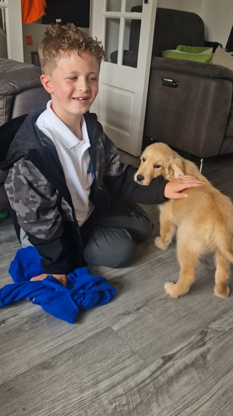 5-year-old’s heartwarming reaction to a new puppy