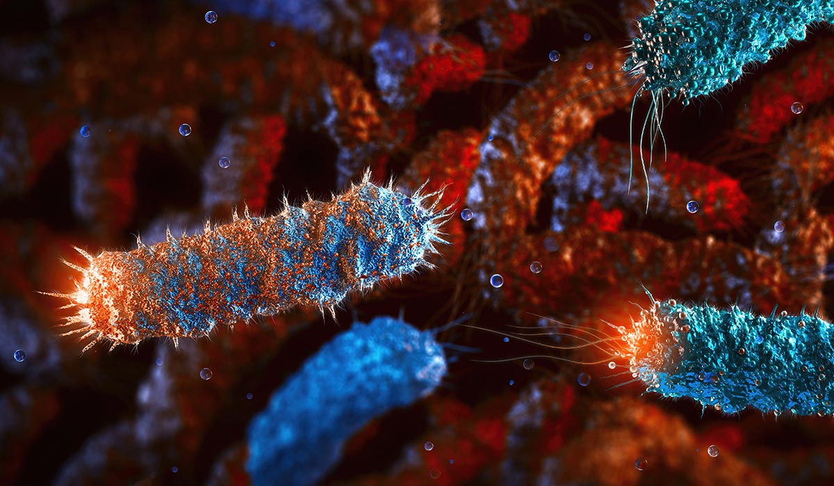 Urgent warnings as first case of flesh-eating worm in decades detected ...
