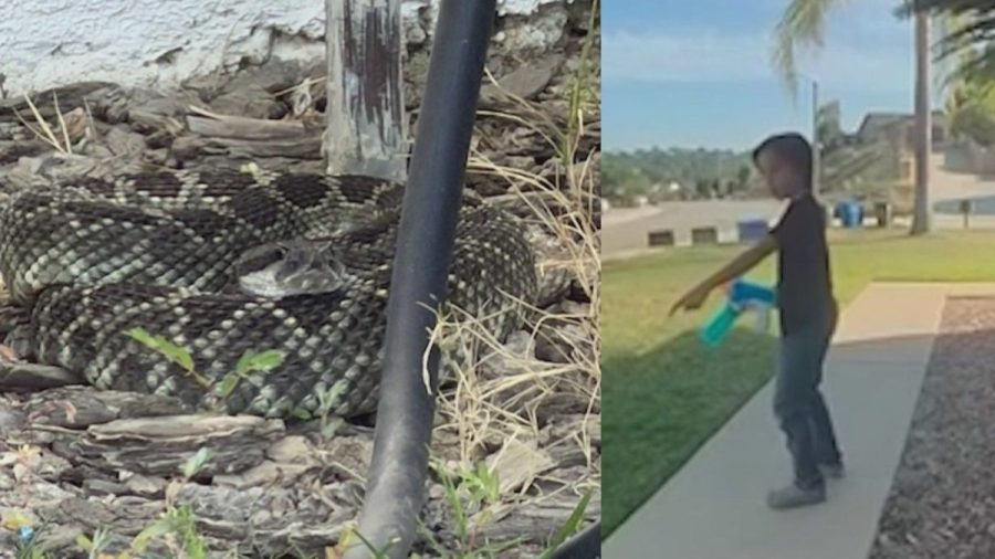 Watch: California boy has close encounter with rattlesnake on doorstep