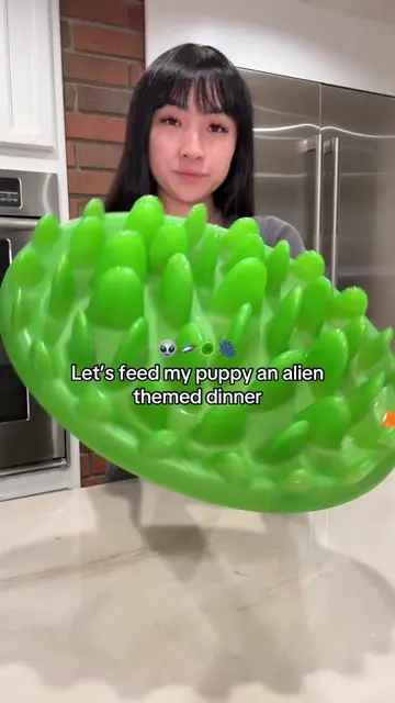 I built an alien planet raw feast for my puppy