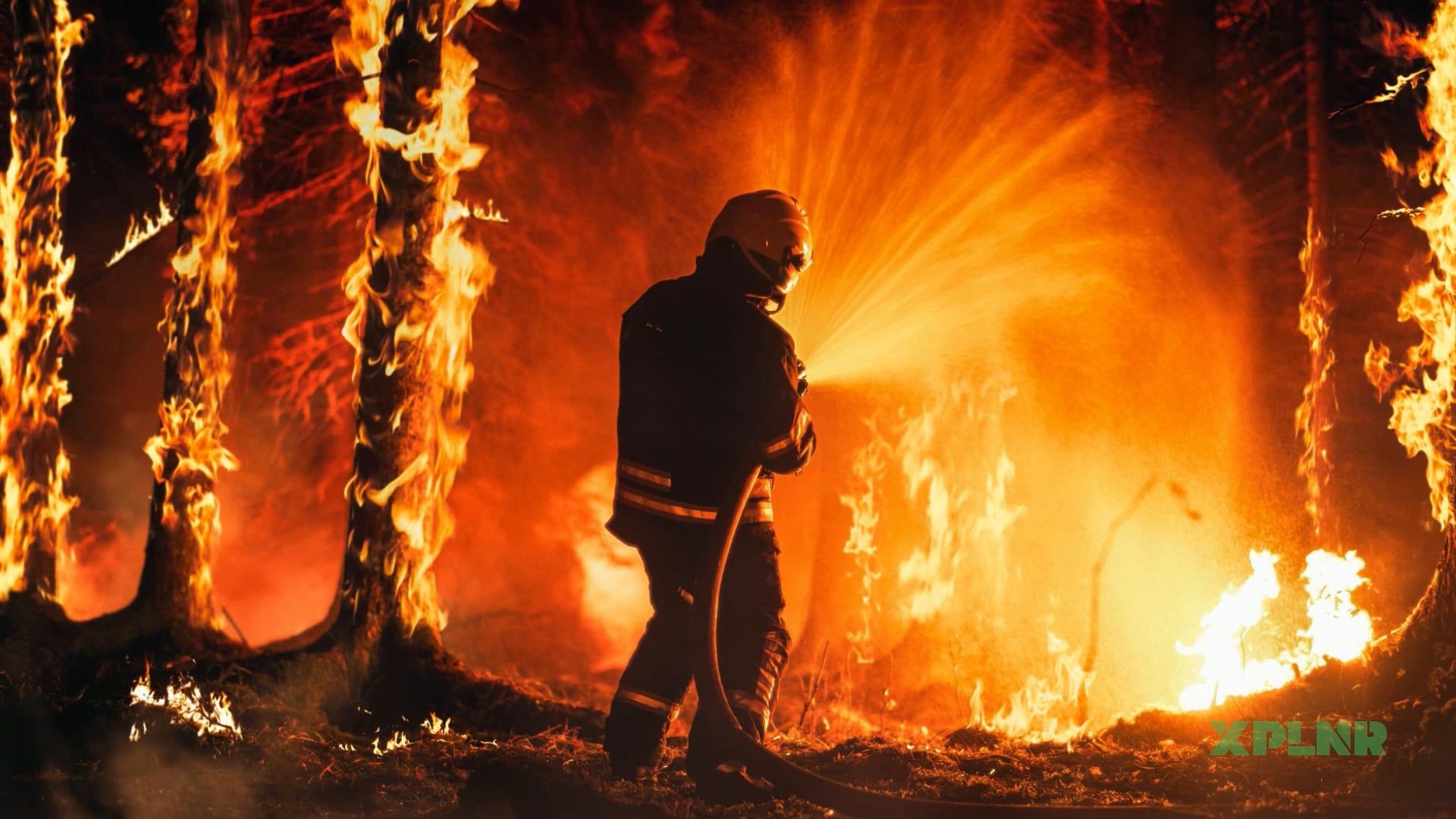How do wildfires start?