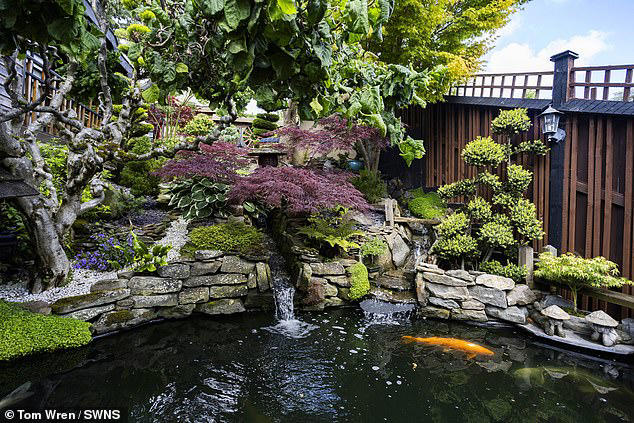 Turning Japanese! Man spends £20,000 transforming his back yard into ...