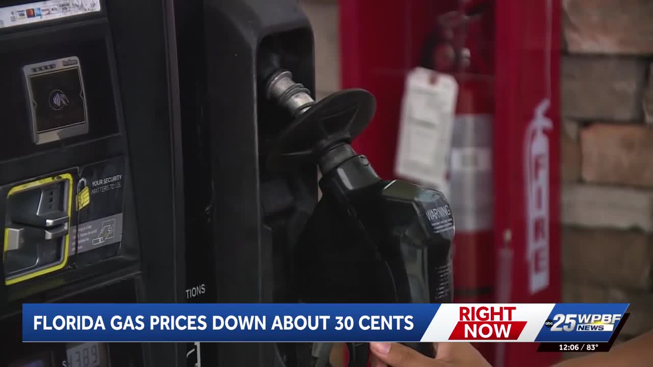 Relief at the pump: Florida gas prices decline 30 cents