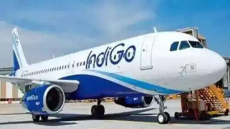 IndiGo flight to Mumbai returns to Bengaluru after bird hit during take-off