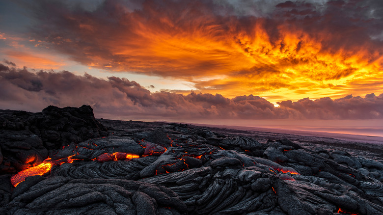 Think twice before taking a selfie in these destinations