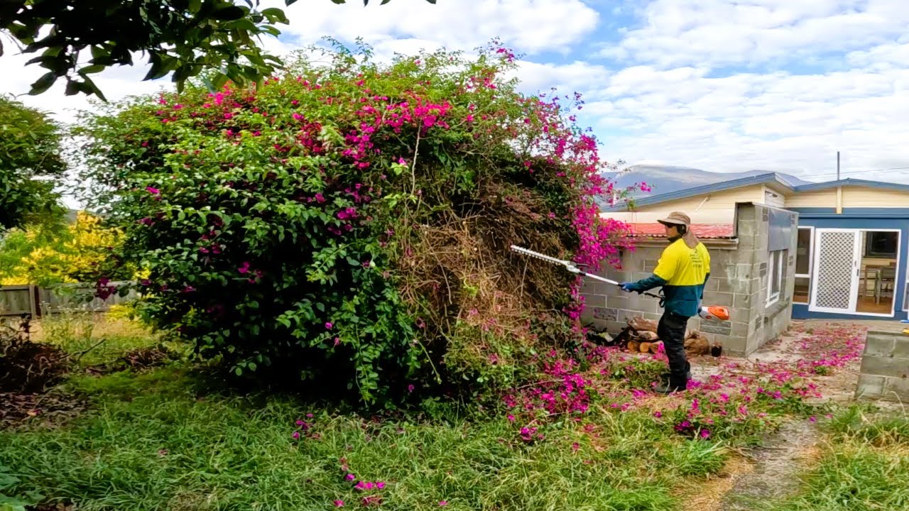 This giant pink monster nearly killed me!