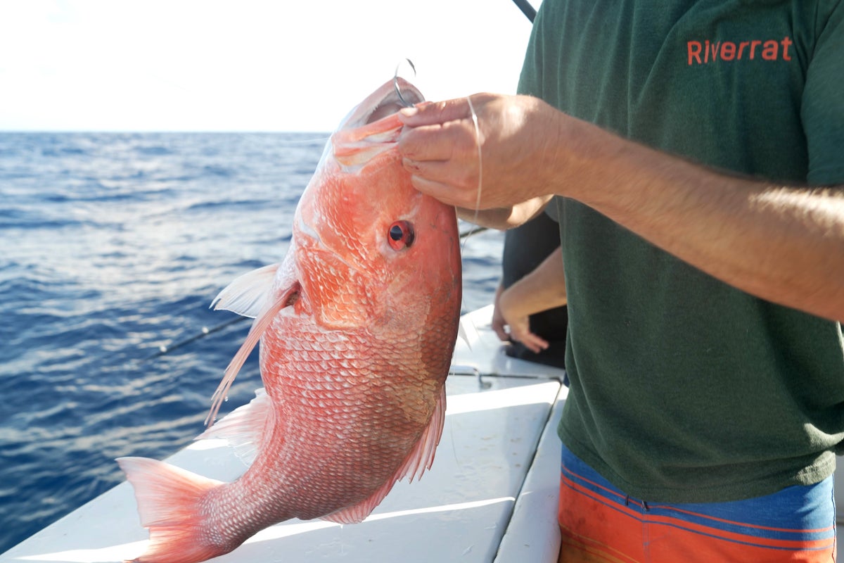 Fish fight off Florida tests Trump’s drive to deregulate US seas
