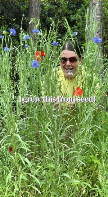 Wildflower garden tips start with seeds and some chaos