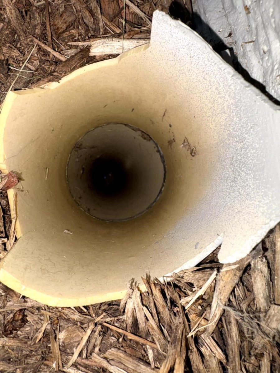 Watch: Kitten rescued from 6-foot drainage pipe in Iowa